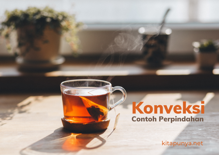 Contoh Perpindahan Panas Konveksi dan Apa Itu Konveksi? - Kita Punya